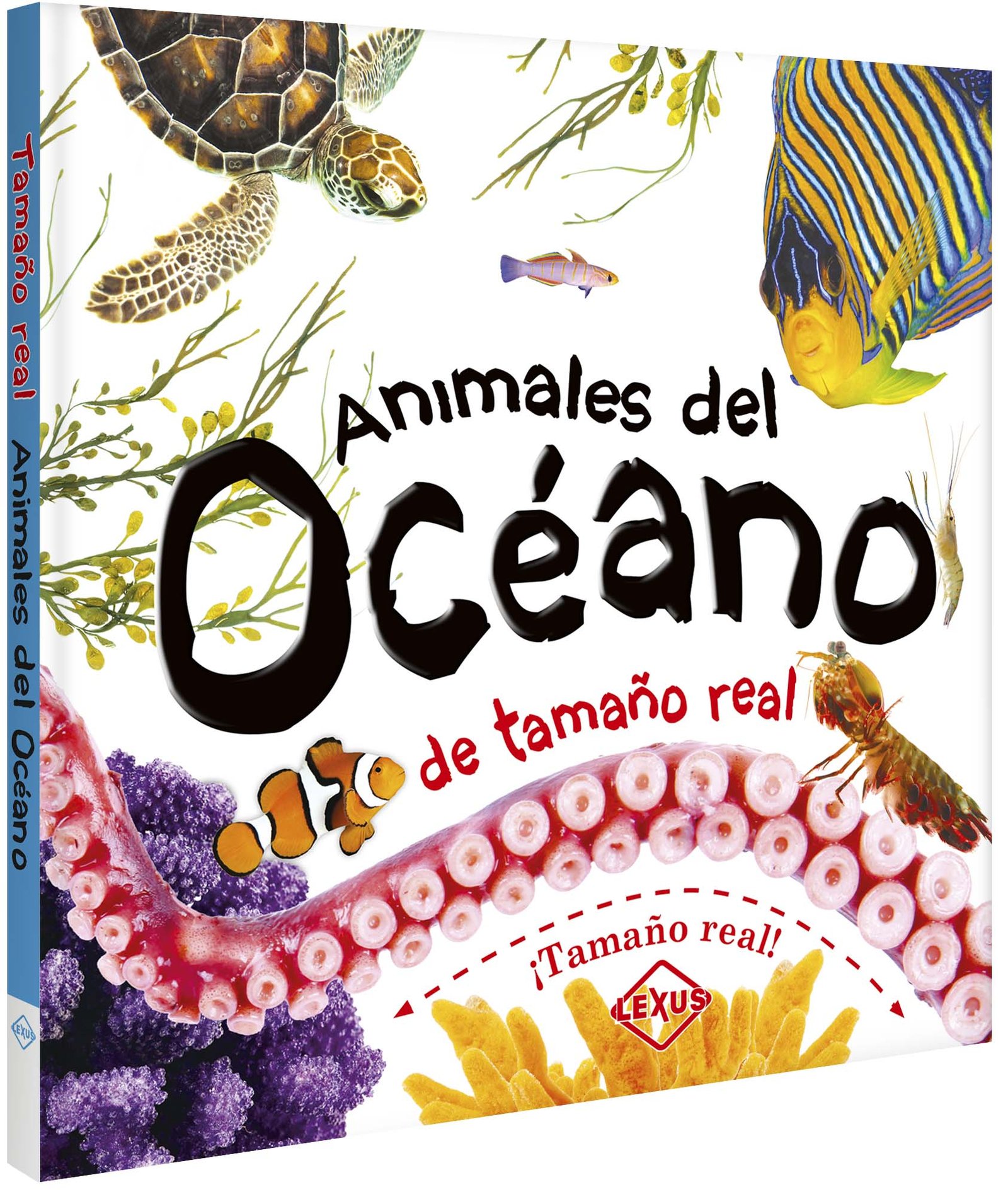 Animales del Océano